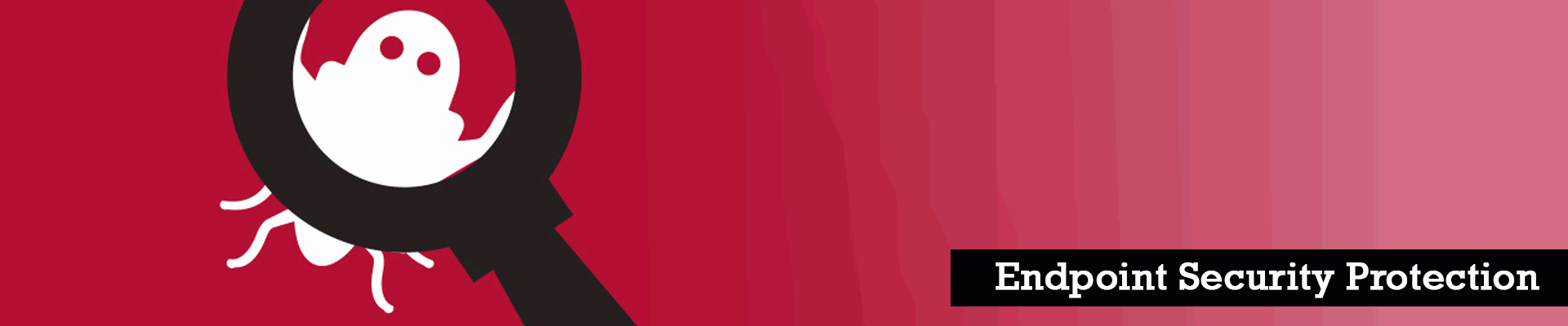 Endpoint Security Protection - Codec Networks